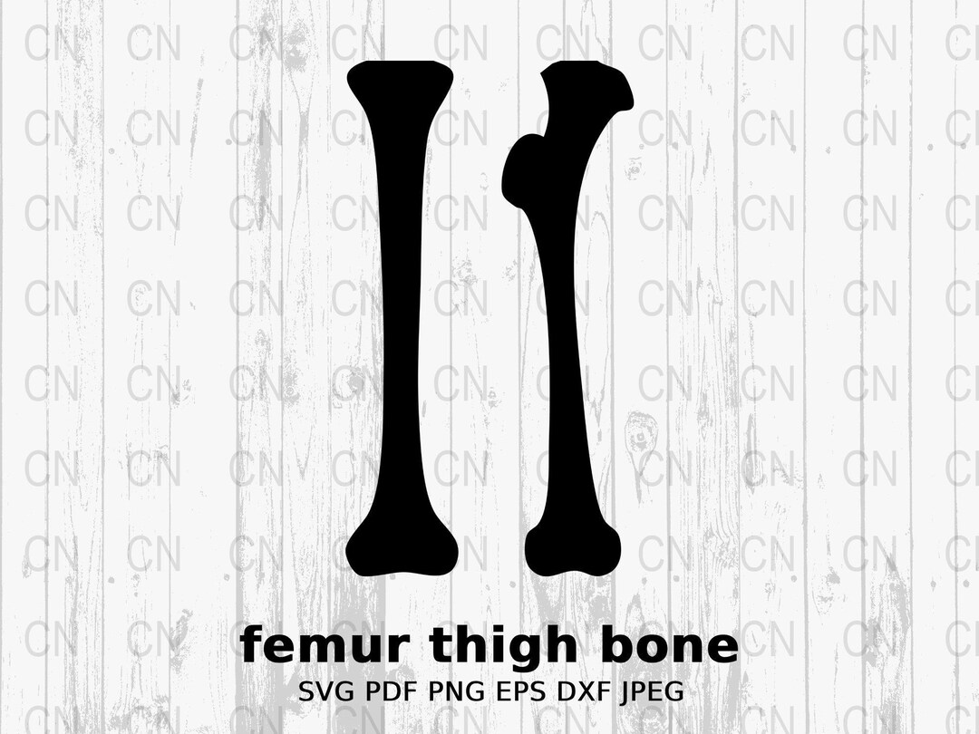 Femur Thigh Bone Silhouette SVG, Human Bone Clipart, Anatomy Vector ...