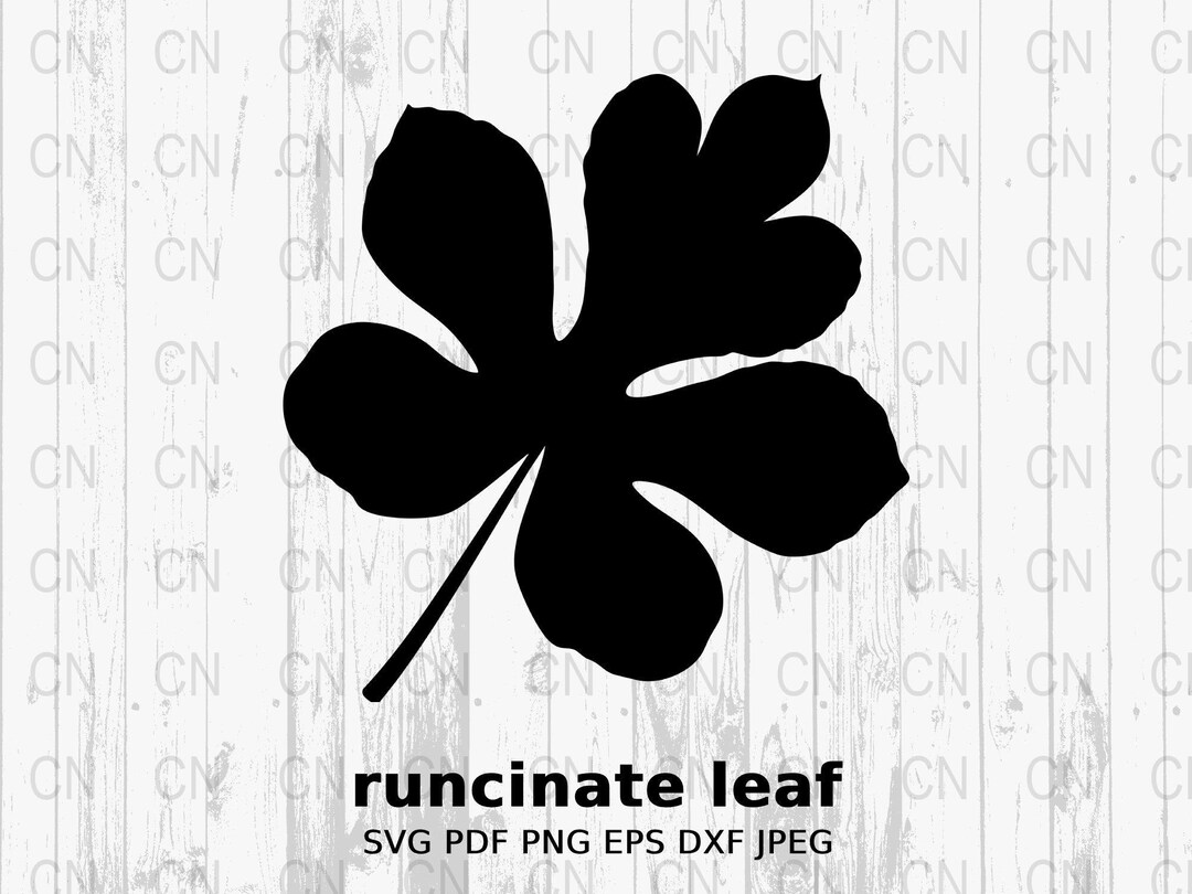 Runcinate Leaf Silhouette SVG, Pinnate Leaf Clipart, Botanical Vector ...