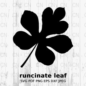 Runcinate Leaf Silhouette SVG, Pinnate Leaf Clipart, Botanical Vector ...