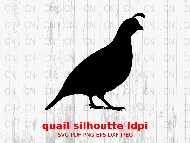 Quail Bird SVG, Game Bird Silhouette, Nature Clipart, Wildlife Vector ...