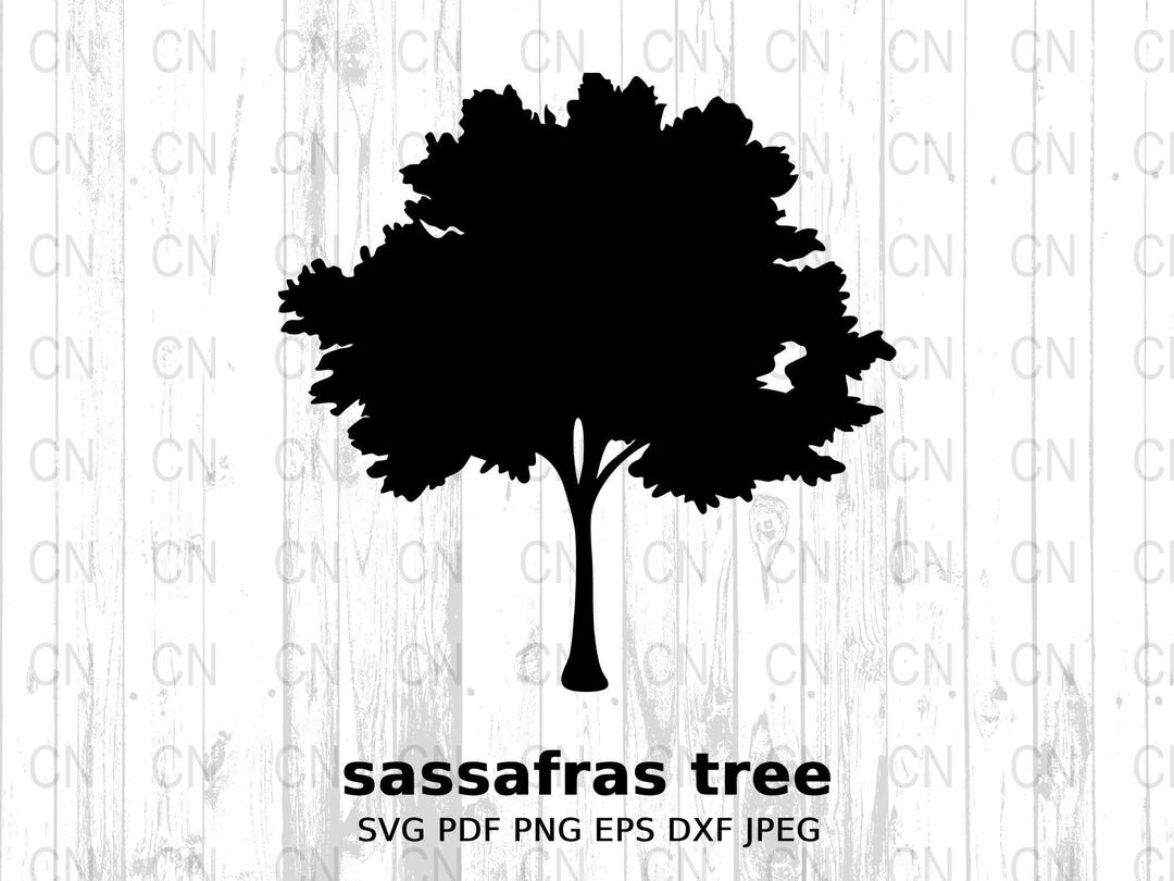Sassafras Tree Silhouette, Sassafras Tree SVG, Woodland Tree Silhouette ...
