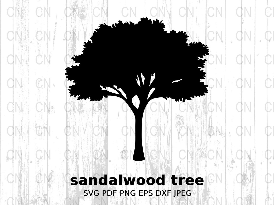 Sandalwood Tree Silhouette, Sandalwood Tree SVG, Tropical Tree ...