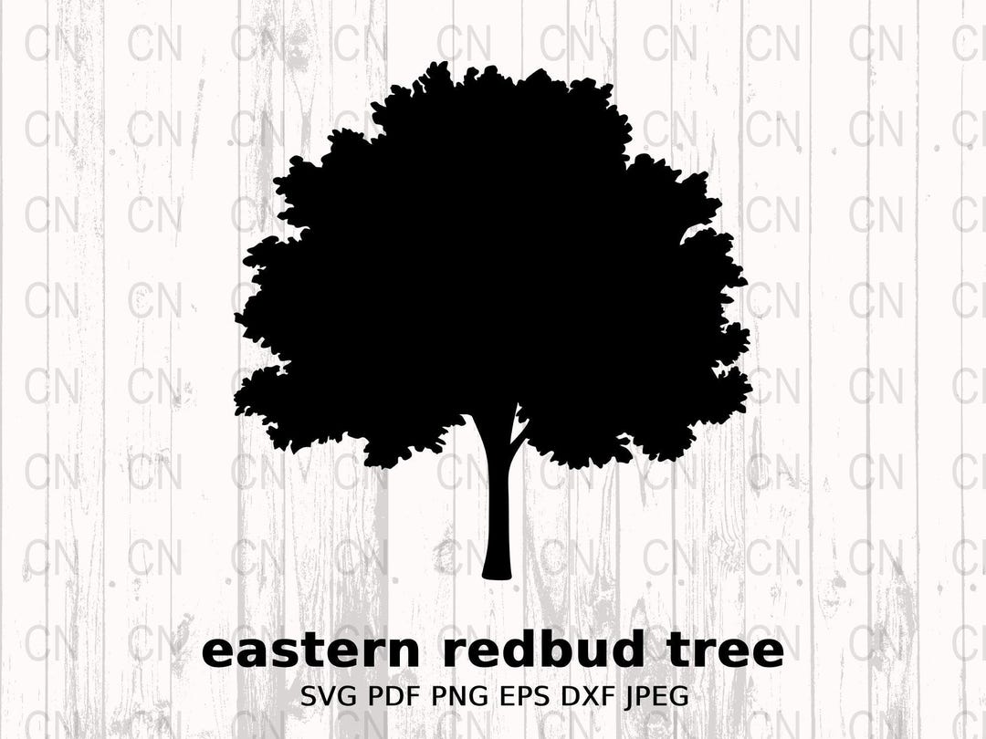 Eastern Redbud Tree Silhouette SVG, Flowering Tree Clipart, Nature ...