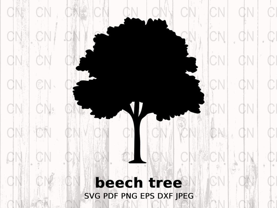 Beech Tree Silhouette SVG, Woodland Tree Clipart, Nature Vector ...
