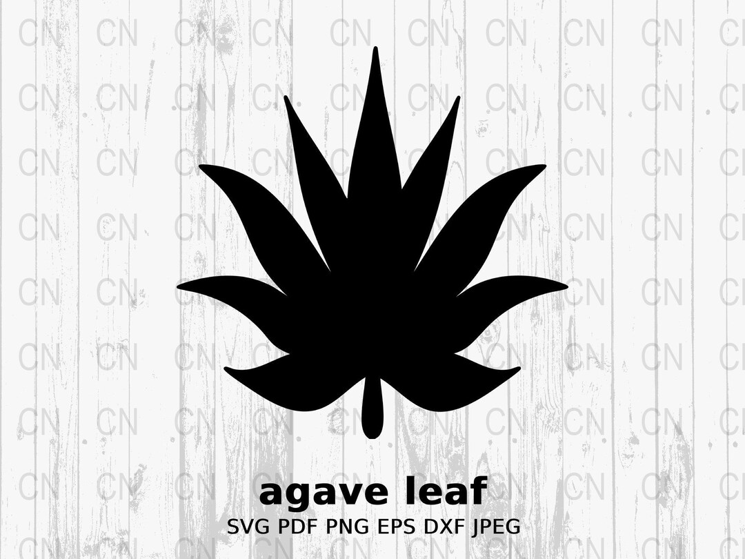 Agave Leaf Silhouette SVG, Agave Plant Leaf Clipart, Botanical Vector ...