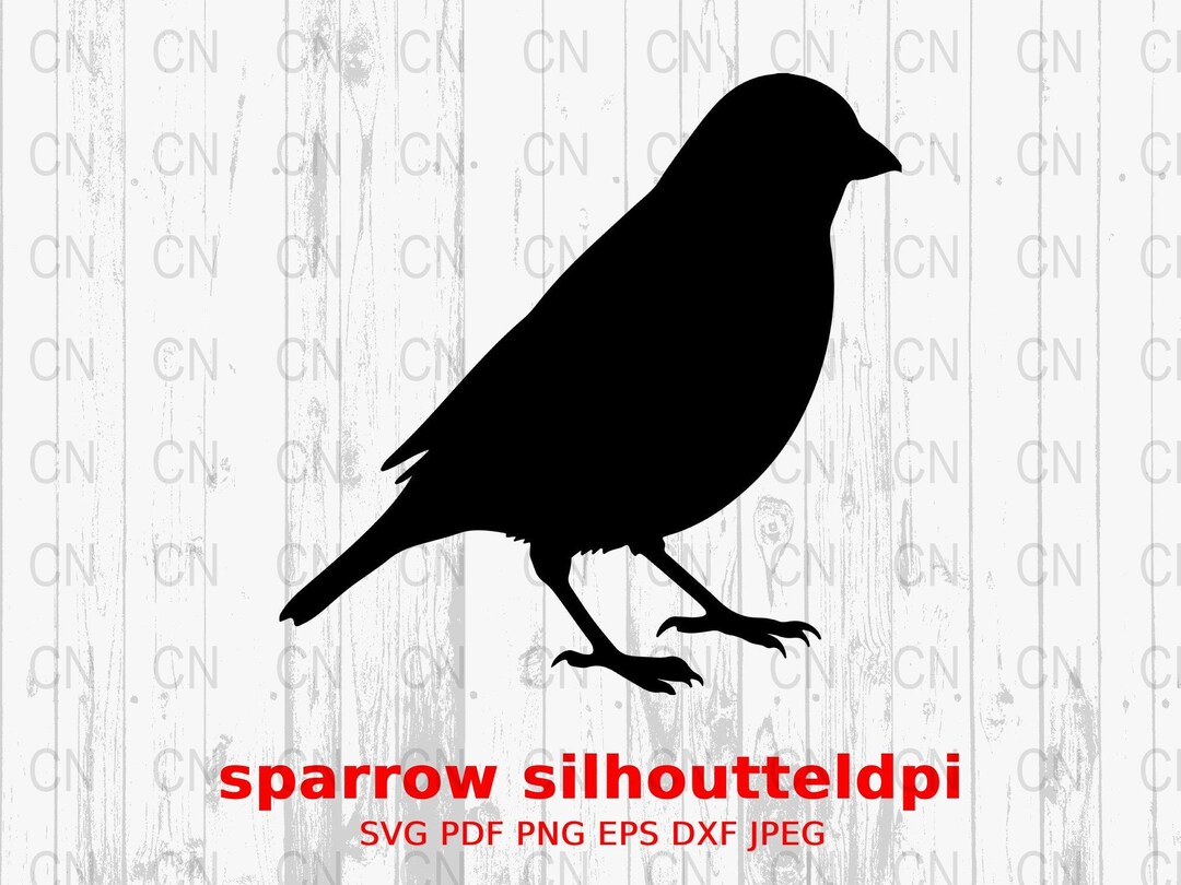 Sparrow Bird SVG, Songbird Silhouette, Small Bird Clipart, Nature ...
