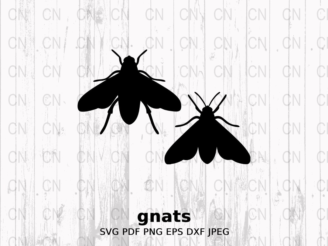 Gnats Silhouette SVG, Insect Clipart, Flying Bugs Vector, Digital Cut ...