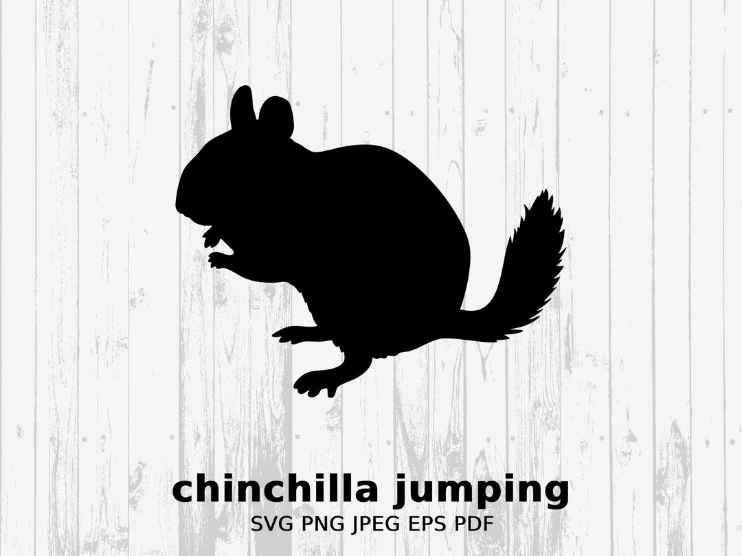 Chinchilla Jumping Silhouette SVG, Cute Animal Clipart, Pet Wildlife ...