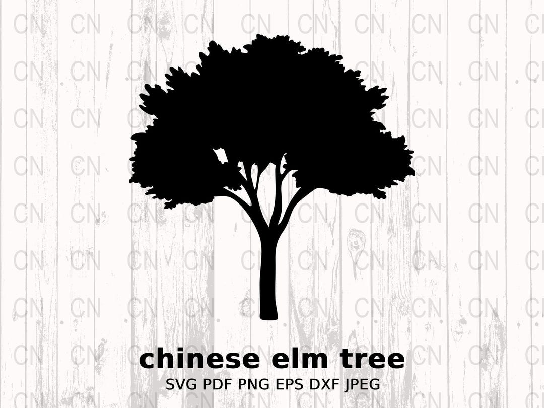 Chinese Elm Tree Silhouette SVG, Deciduous Tree Clipart, Nature Vector ...