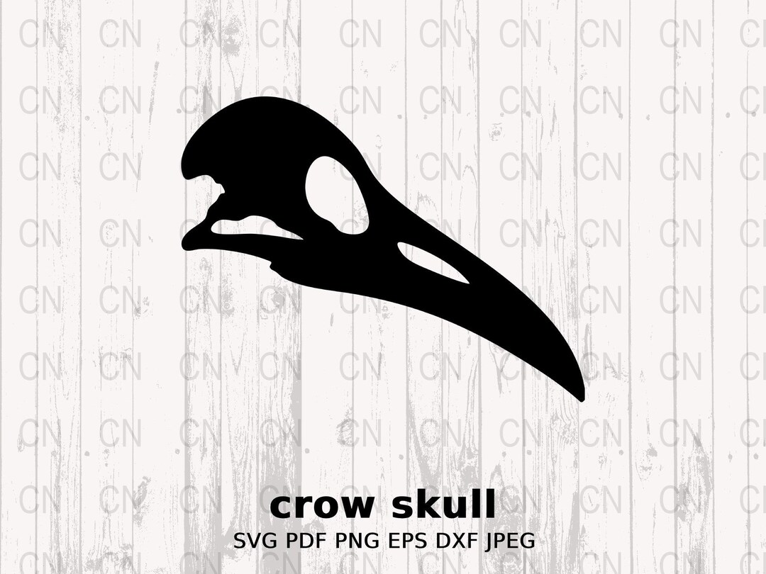 Crow Skull Silhouette SVG, Bird Skull Clipart, Dark Art Vector, Digital ...