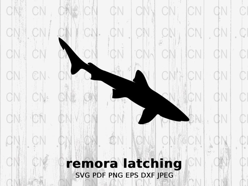 Remora Latching Silhouette SVG, Ocean Fish Clipart, Marine Life Vector ...