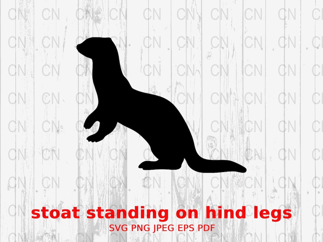 Stoat Standing on Hind Legs Silhouette SVG, Wild Animal Clipart, Forest ...