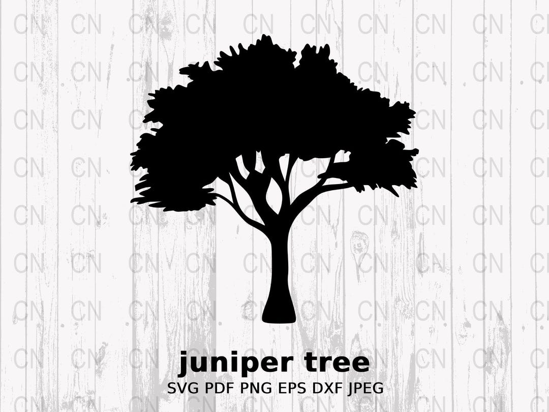 Juniper Tree Silhouette SVG, Evergreen Tree Clipart, Nature Vector ...