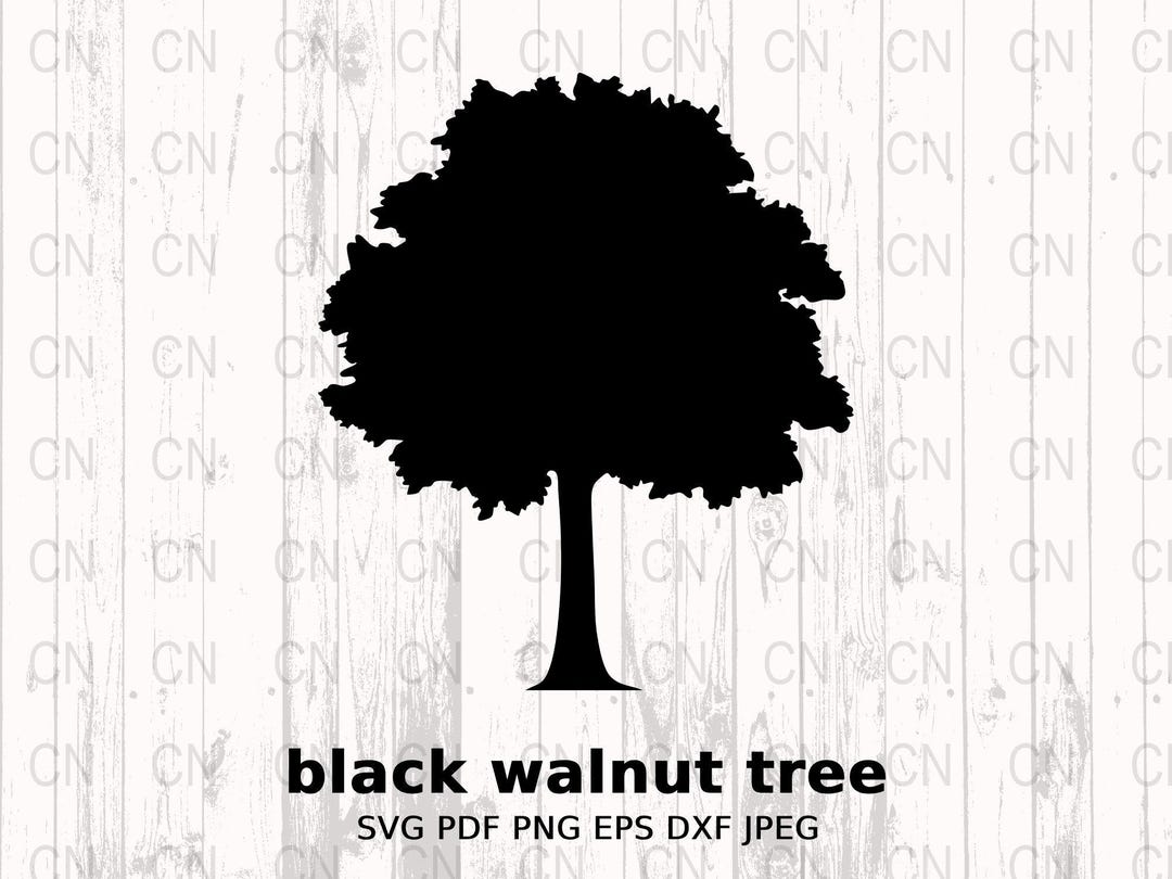 Black Walnut Tree Silhouette SVG, Hardwood Tree Clipart, Nature Vector ...