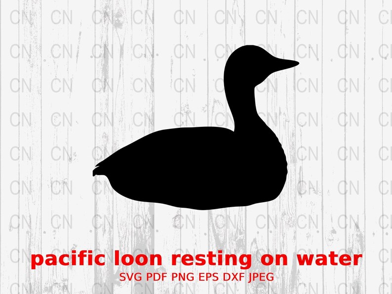 Pacific Loon Resting on Water SVG, Bird Silhouette, Nature Clipart ...