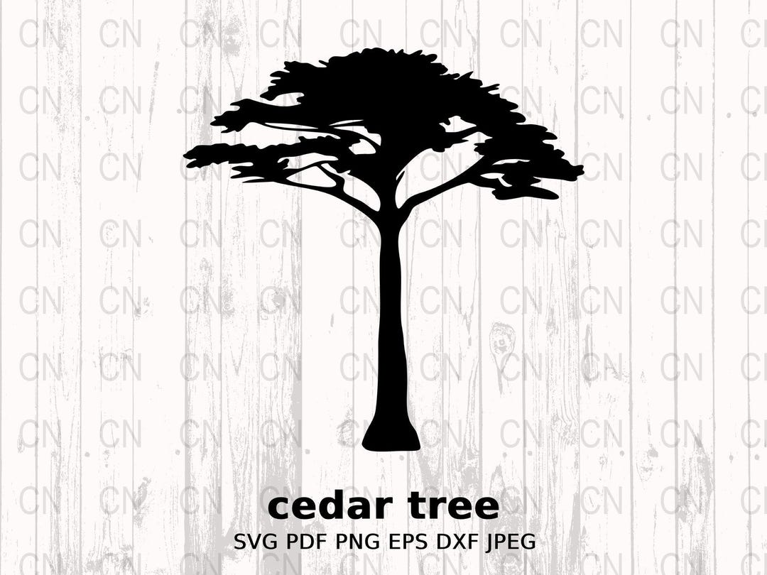 Cedar Tree Silhouette SVG, Evergreen Tree Clipart, Nature Vector ...