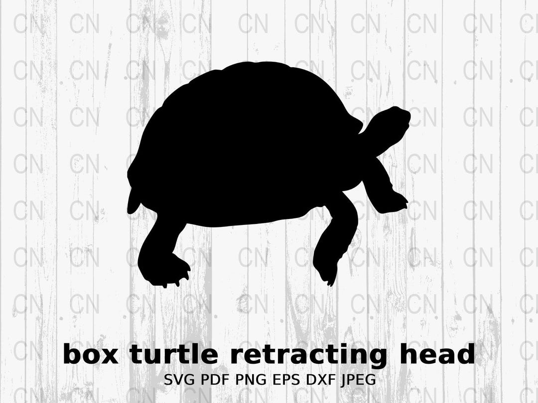 Turtle Silhouette , Box Turtle Silhouette SVG, Reptile Clipart, Turtle ...
