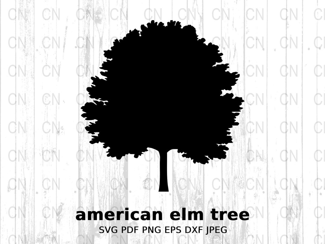 Elm Tree Silhouette, Elm Tree SVG, Woodland Tree Silhouette, Nature ...