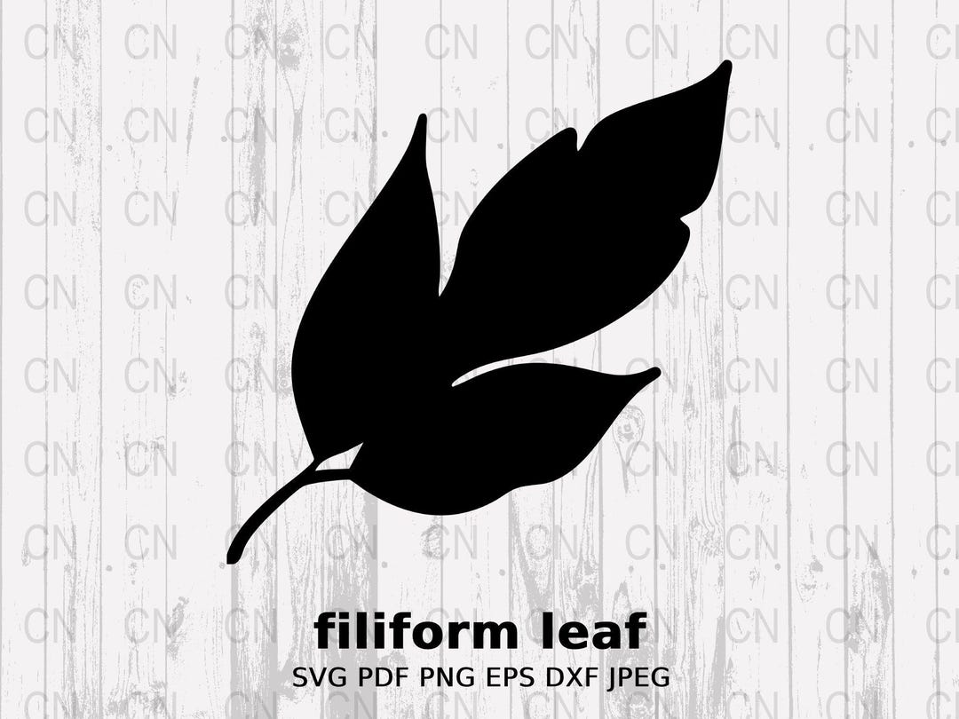 Filiform Leaf Silhouette SVG, Thin Leaf Clipart, Botanical Foliage ...