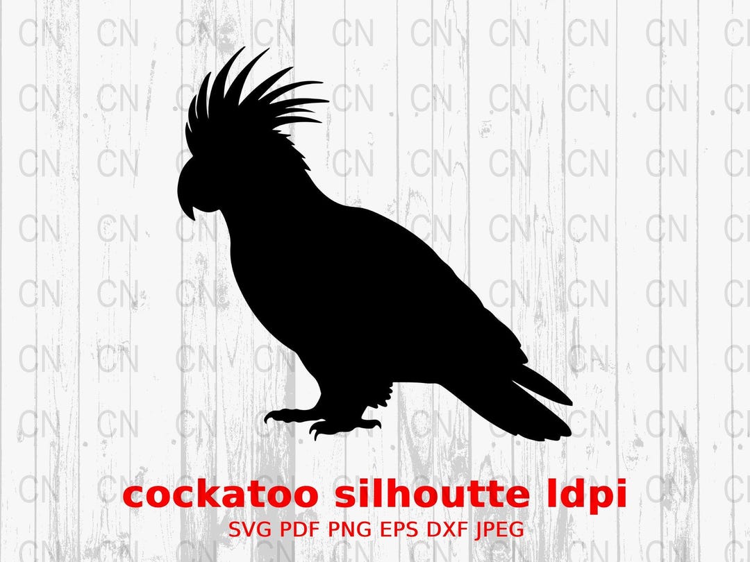 Cockatoo Bird SVG, Parrot Silhouette, Tropical Bird Clipart, Exotic ...
