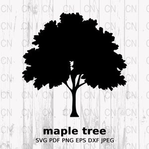 Maple Tree Silhouette, Maple Tree SVG, Autumn Tree Silhouette, Nature ...