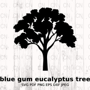 Blue Gum Eucalyptus Tree Silhouette SVG, Evergreen Tree Clipart, Nature ...