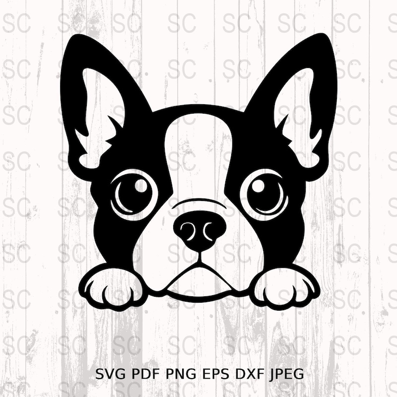 Boston Terrier Face Clipart - Etsy UK
