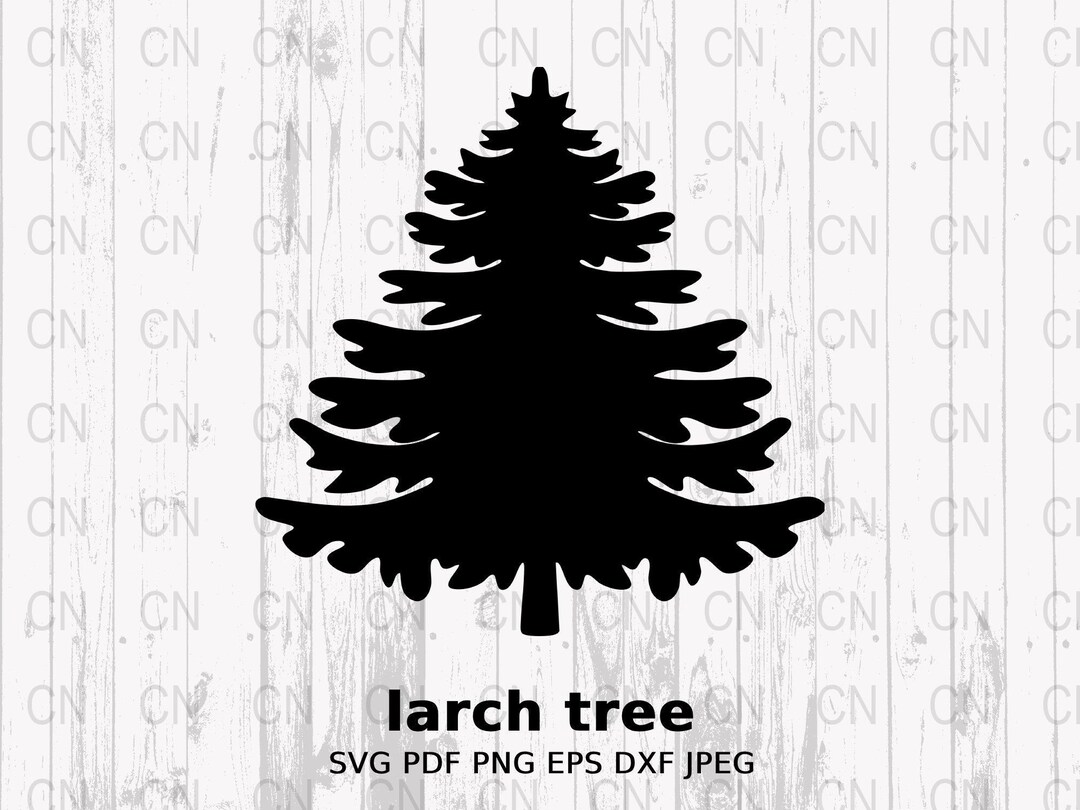 Larch Tree Silhouette SVG, Evergreen Tree Clipart, Woodland Nature ...