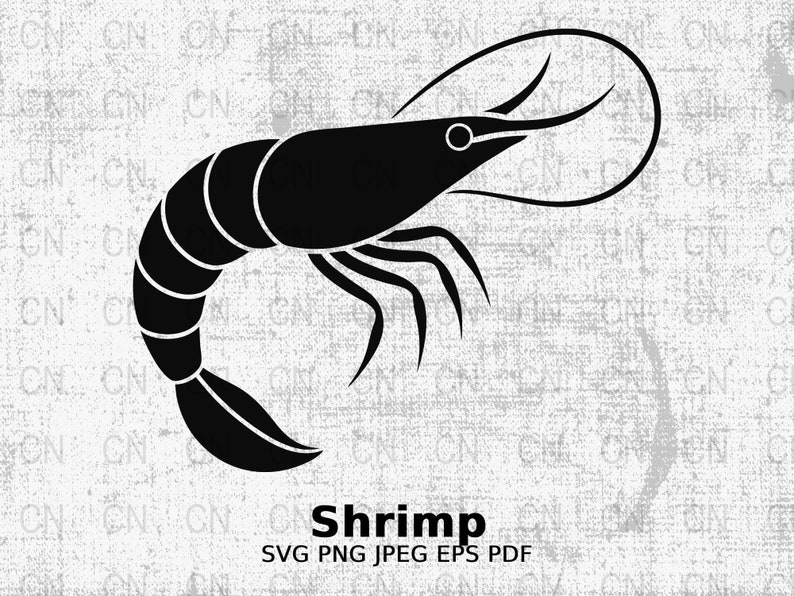 Shrimp Svg Png Jpeg Dxf, Vector Cutting Files for Silhouette Cameo ...