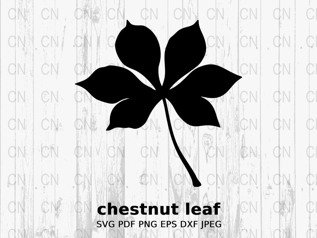 Chestnut Leaf Silhouette SVG, Chestnut Tree Leaf Clipart, Botanical ...