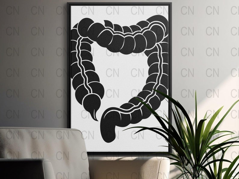 Large Intestine Svg Png Jpeg Dxf, Vector Cutting Files for Silhouette ...