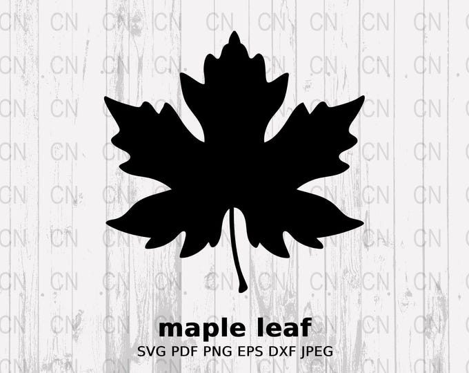 Maple Leaf SVG Autumn Illustration Maple Leaf Clipart Fall Graphic ...