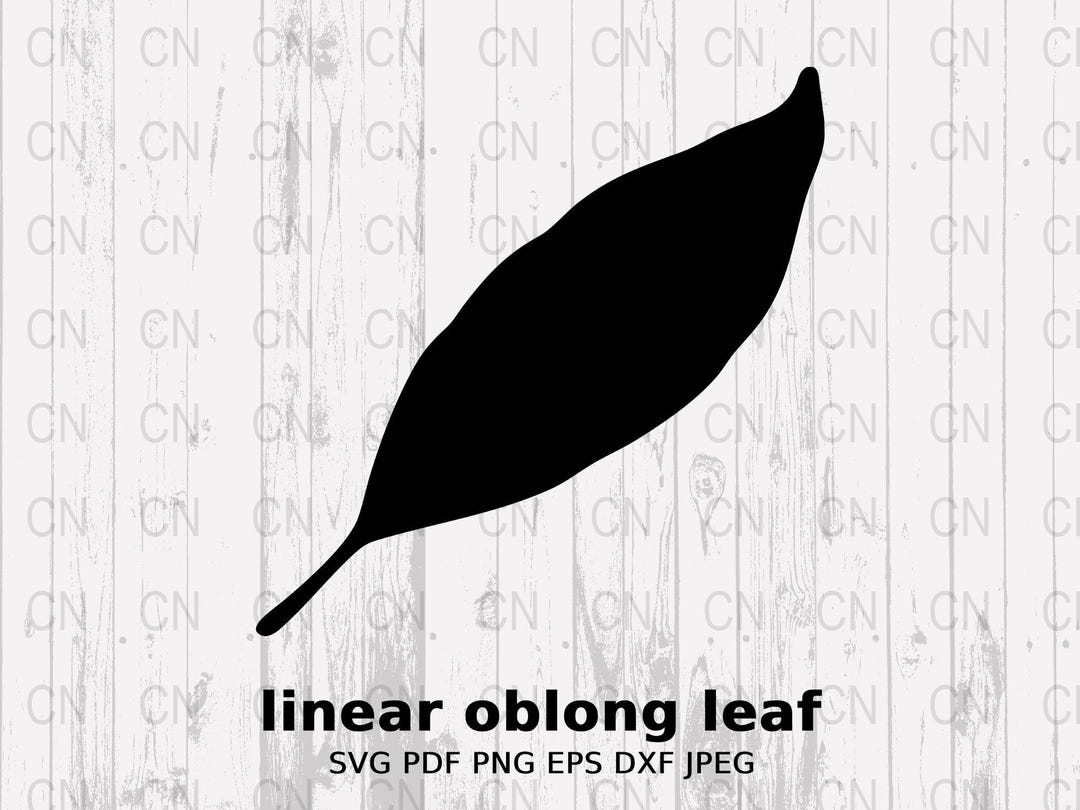 Linear Oblong Leaf Silhouette SVG, Narrow Leaf Clipart, Botanical ...
