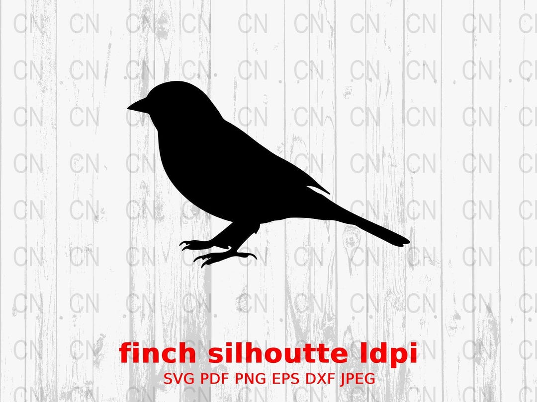 Finch Bird SVG, Songbird Silhouette, Nature Clipart, Wildlife Vector ...
