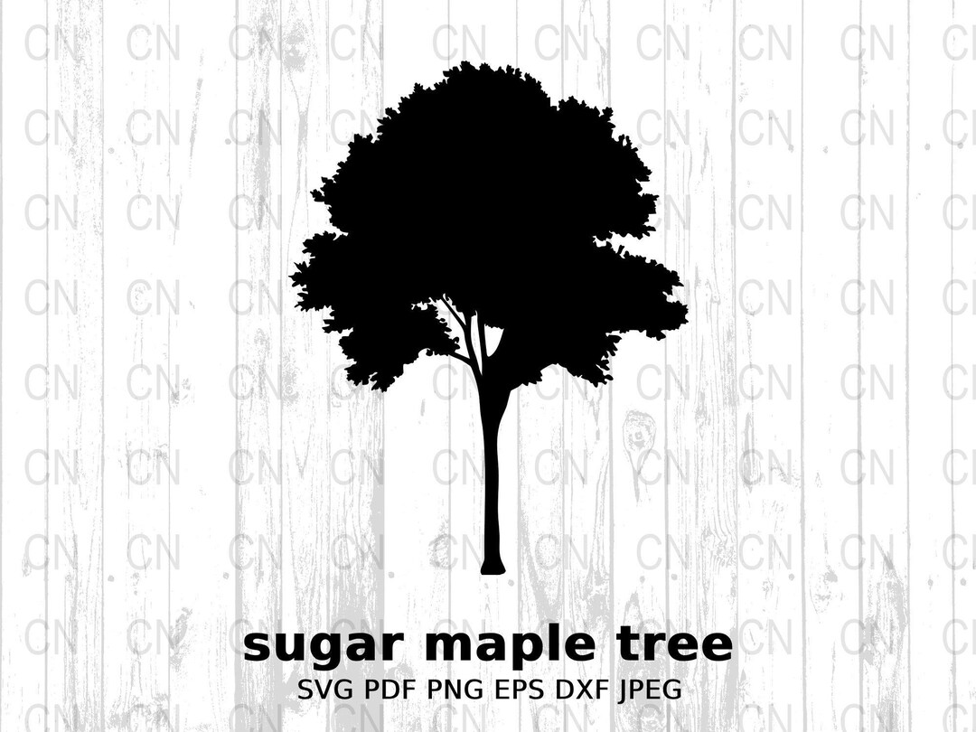 Maple Tree Silhouette, Maple Tree SVG, Leafy Tree Silhouette, Nature ...
