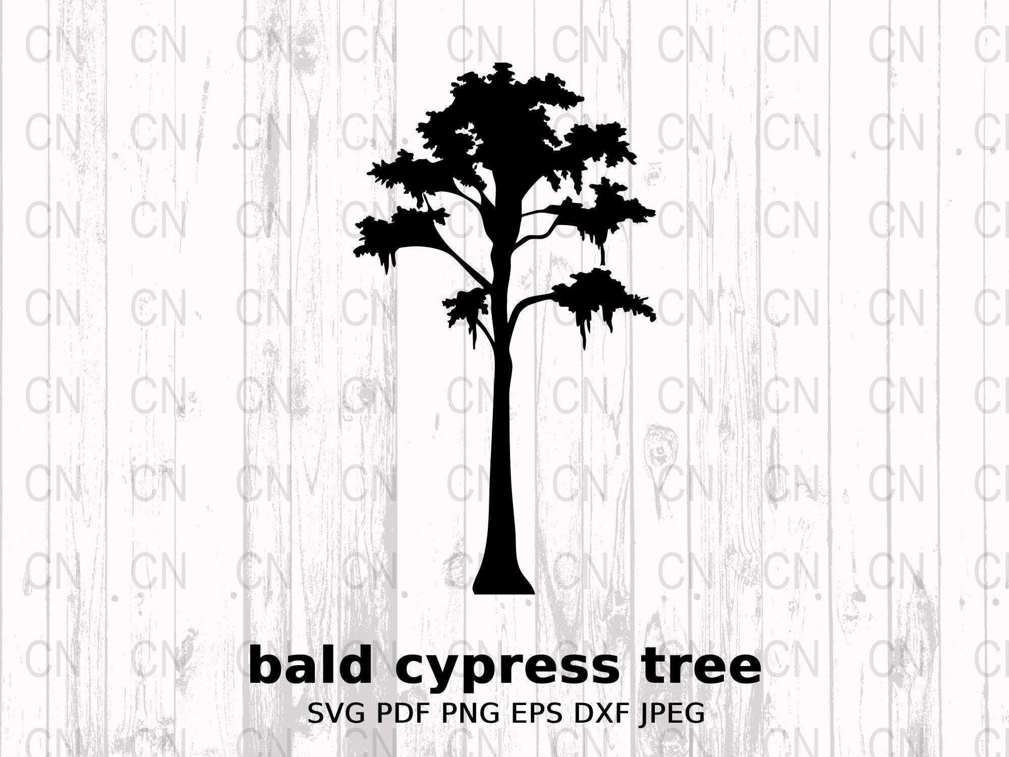 Bald Cypress Tree Silhouette SVG, Evergreen Tree Clipart, Nature Vector ...