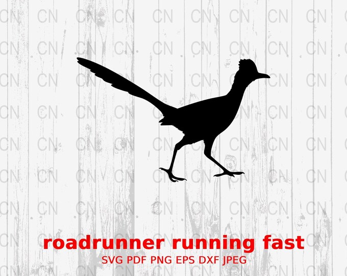 Roadrunner Svg/ Road Runner Svg/birds Svg,/ Southwest Svg, /desert ...
