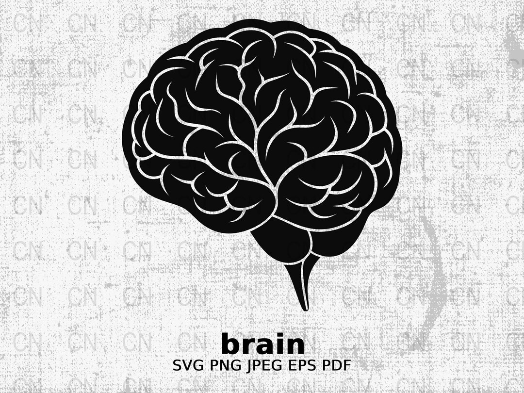 Brain SVG, Human Organ Silhouette, Neuroscience Clipart, Anatomy Vector ...