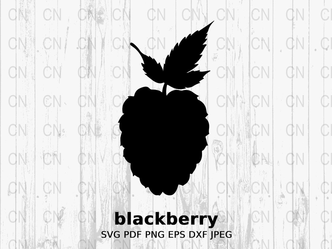 Blackberry SVG, Fruit Silhouette, Berry Clipart, Fresh Design, Digital ...