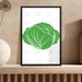 Cabbage Silhouette SVG, Vegetable Clipart, Farm Produce Vector, Healthy ...