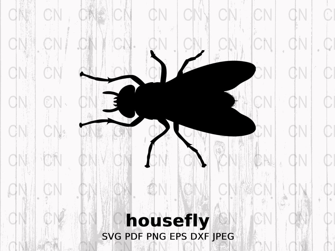 Housefly Silhouette SVG, Housefly Insect Clipart, Bug Vector, Digital ...