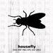 Housefly Silhouette SVG, Housefly Insect Clipart, Bug Vector, Digital ...