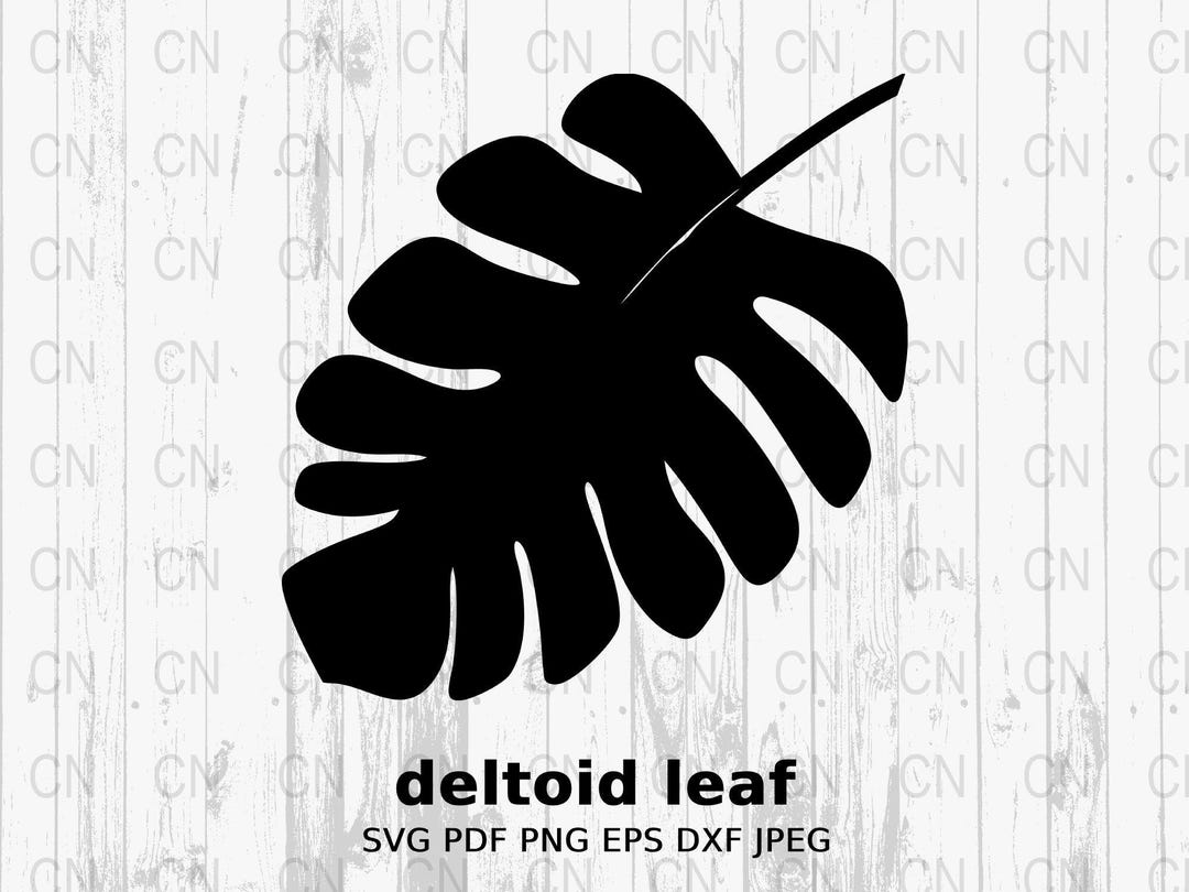 Deltoid Leaf Silhouette SVG, Triangular Leaf Clipart, Botanical Vector ...
