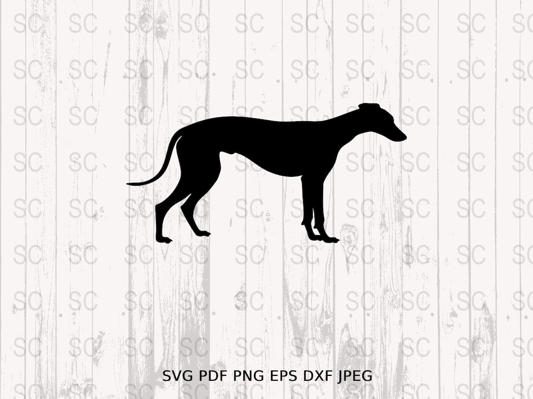 Silueta de galgo italiano SVG, clipart de raza de perro, vector de ...
