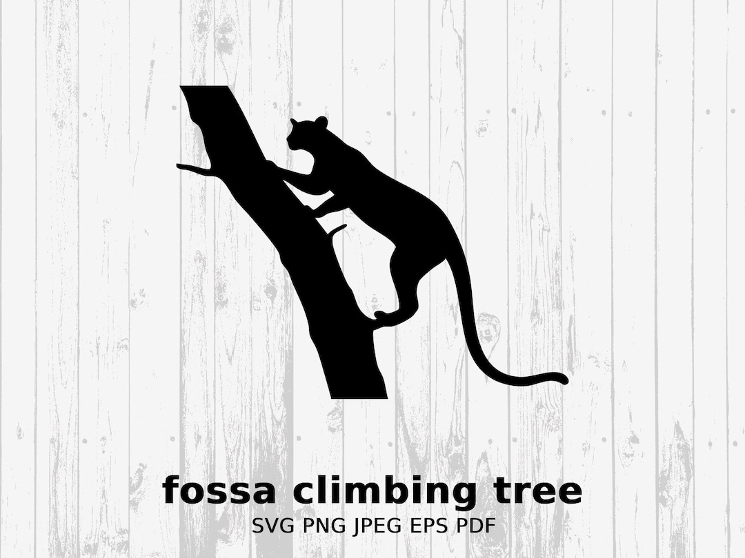 Fossa Silhouette , Fossa Climbing Tree SVG, Wildlife Animal Silhouette ...