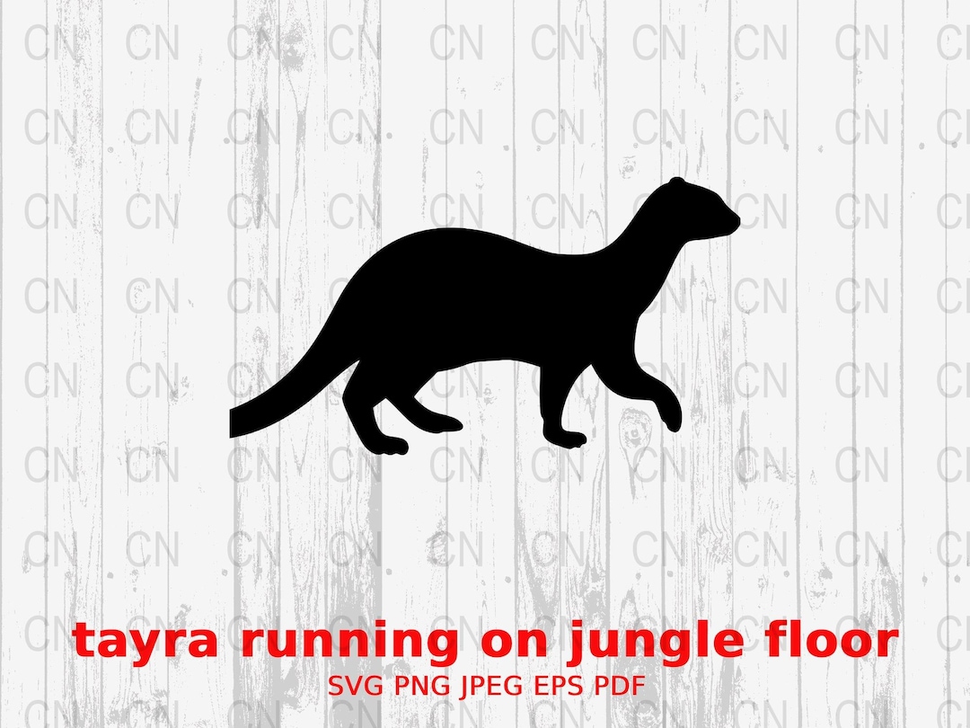 Tayra Running Through Jungle SVG, Wildlife Animal Silhouette, Jungle ...