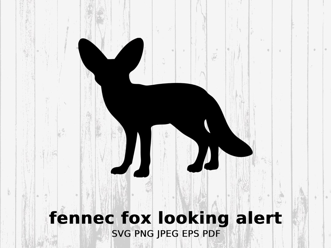 Fennec Fox SVG, Wildlife Animal Silhouette, Desert Fox Clipart, Nature ...