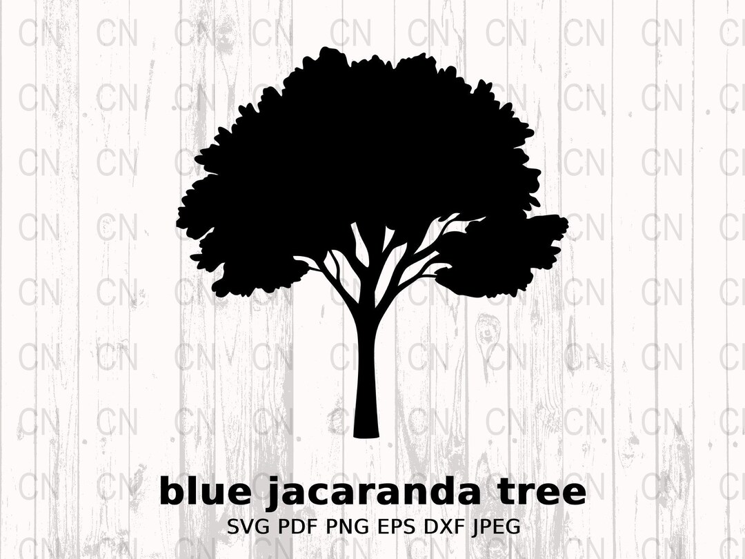 Blue Jacaranda Tree Silhouette SVG, Tropical Tree Clipart, Floral ...