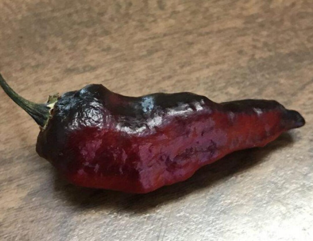 Pimenta Leopard Pepper Seeds! - Etsy