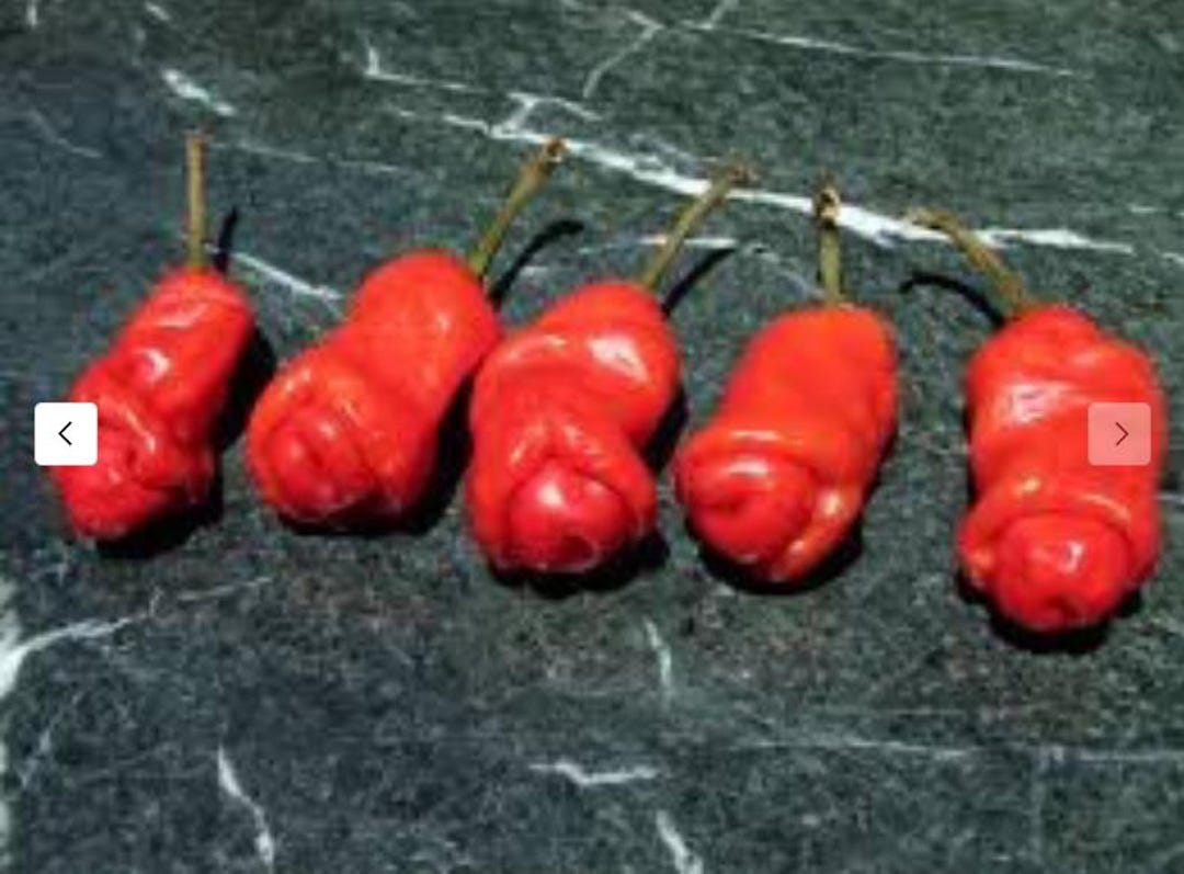 Peter Pepper Seeds! - Etsy